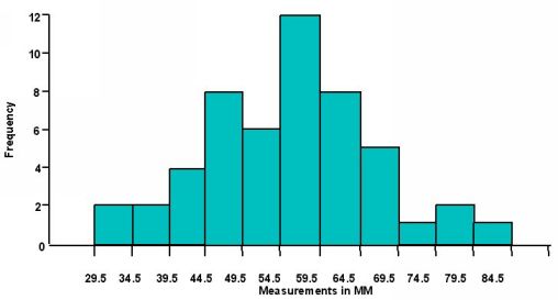 Histogram