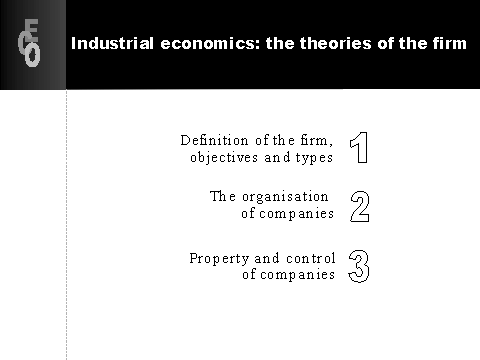 2 : Theories of the Firm
